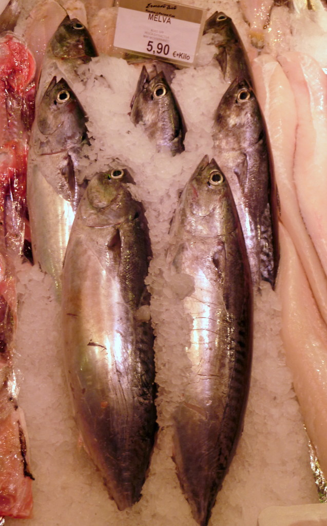 rodaballo Archivos - Del mercado a tu mesa