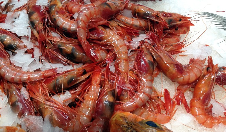 Gamba roja del Mediterráneo en Pescaderías Ernesto Prieto